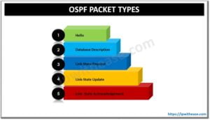OSPF Packet Types: The Ultimate Guide 2025 - IP With Ease