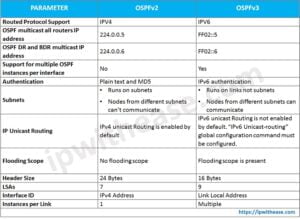 OSPFv2 vs OSPFv3: Detailed Comparison - IP With Ease