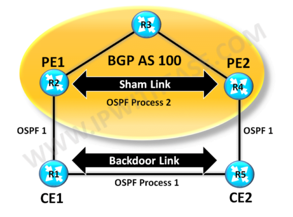 Understand & Configure OSPF Sham Links - IP With Ease