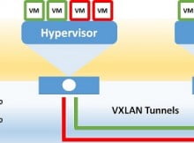 VLAN vs VXLAN | IP With Ease | IP With Ease
