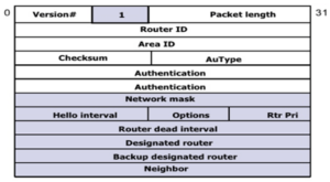 OSPF Packet Types: The Ultimate Guide 2025 - IP With Ease