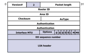 OSPF Packet Types: The Ultimate Guide 2025 - IP With Ease