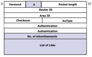 OSPF Packet Types: The Ultimate Guide 2025 - IP With Ease