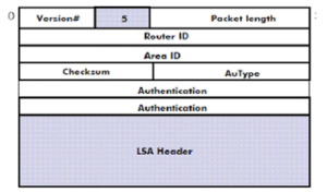 OSPF Packet Types: The Ultimate Guide 2025 - IP With Ease