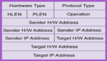 TYPES OF ARP - IP With Ease