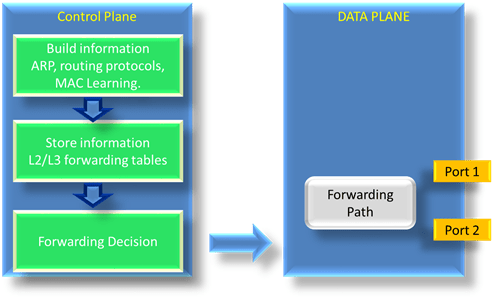 Control Plane and Data Plane | IP With Ease | IP With Ease