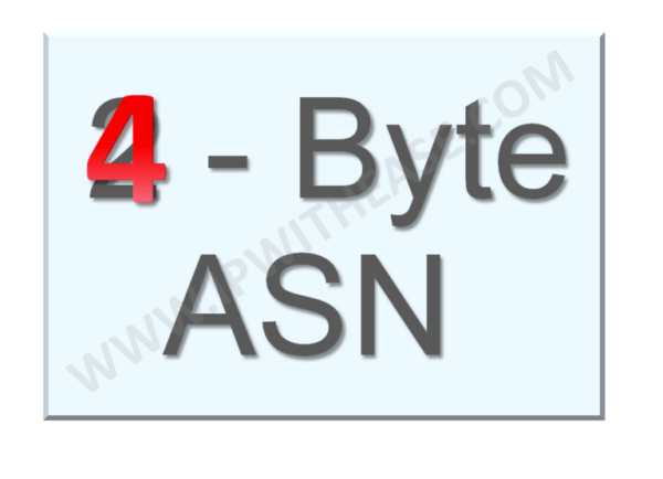 BASIC UNDERSTANDING OF 4-BYTE ASN - IP With Ease
