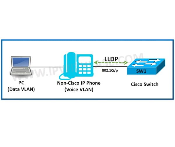 What is Switchport Mode Access? How to Configure Switchport Mode Access ...