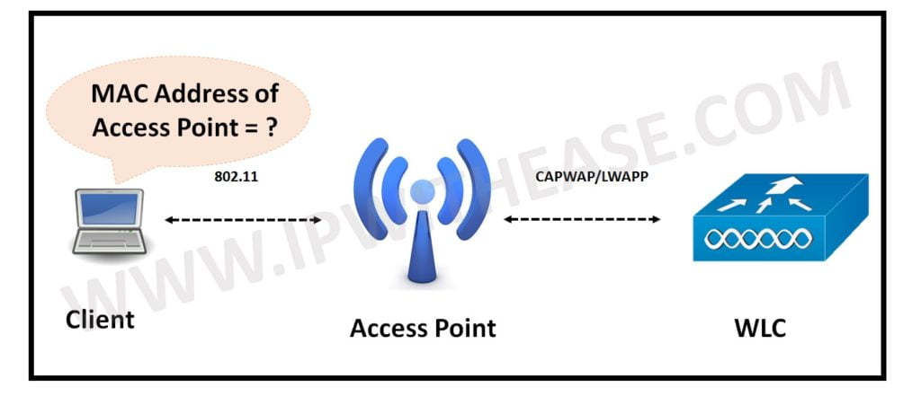 The Ultimate Guide to Cybersecurity for Small Businesses - IP With Ease