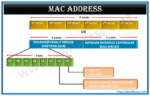 What is MAC Address? MAC Address Format and MAC Address Bits - IP With Ease