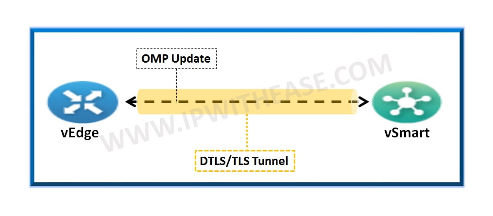 OMP Path Selection Checklist in Viptela - IP With Ease