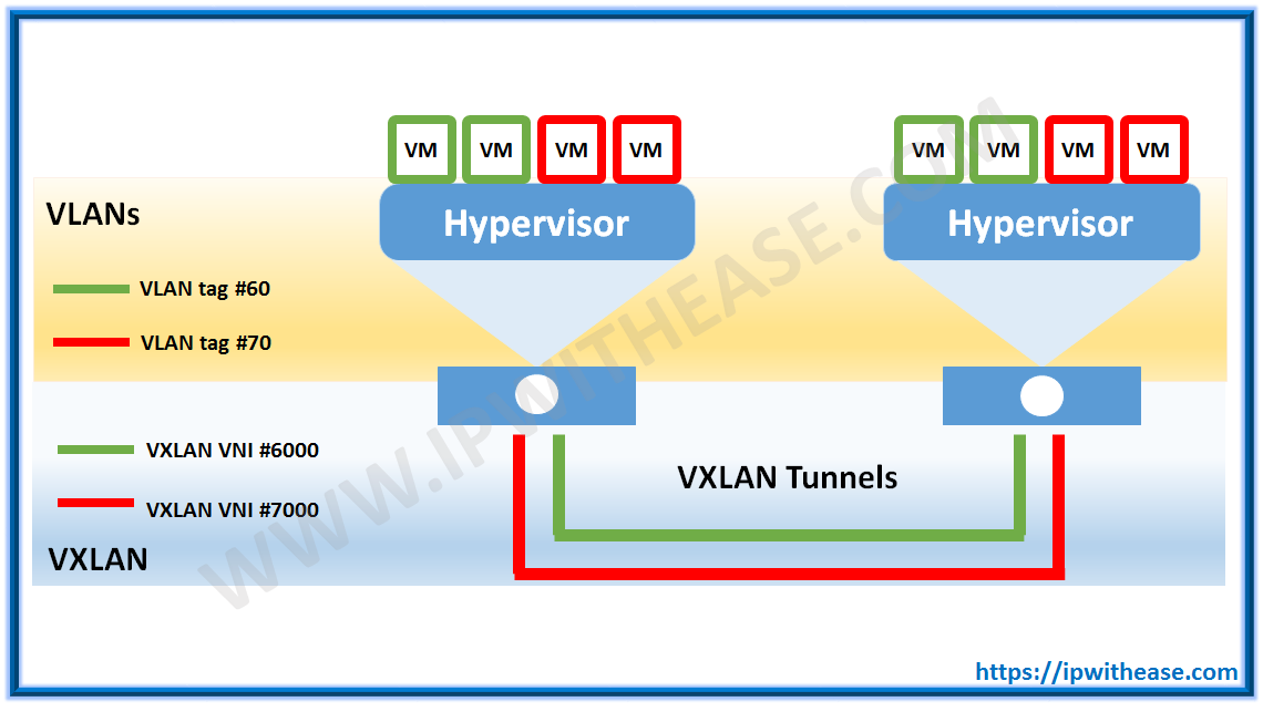VLAN vs VXLAN | IP With Ease | IP With Ease