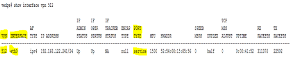 Cisco Viptela Network Interfaces - IP With Ease