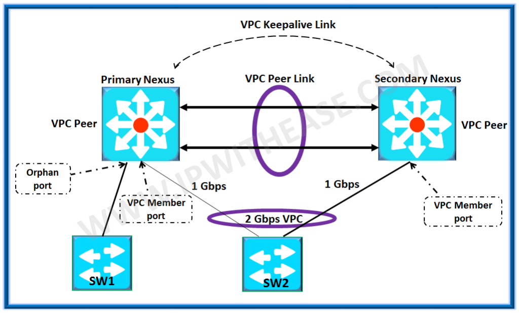 Nexus VPC Architecture and Components - IP With Ease