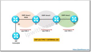 Uptimate Guide on OSPF LSA Types