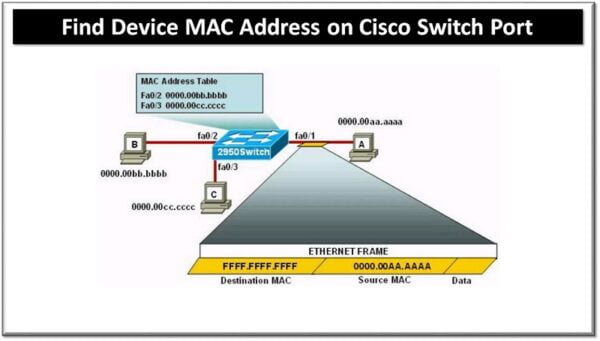 Commands to Find Device Mac Address on Cisco Switch Port - IP With Ease