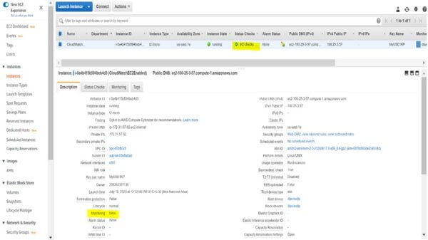 Monitoring Amazon EC2 with CloudWatch - IP With Ease