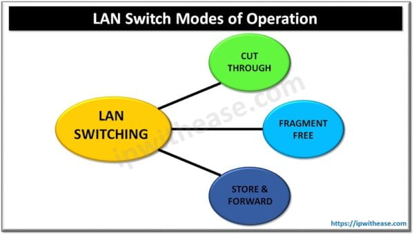 SWITCH STACKING vs CLUSTERING - IP With Ease
