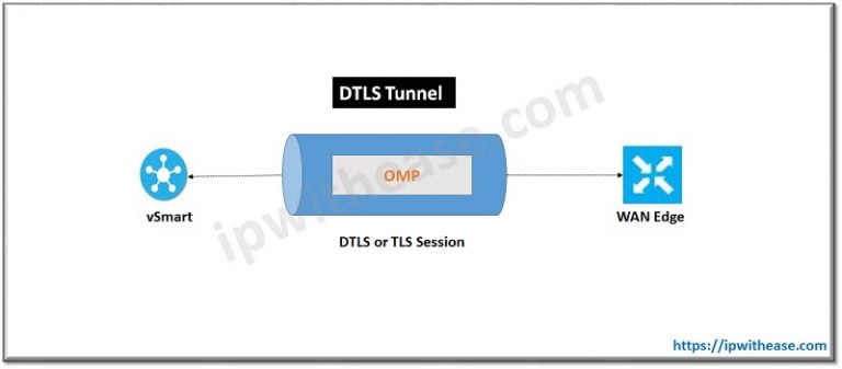 Cisco SD-WAN Control Plane Operation - IP With Ease
