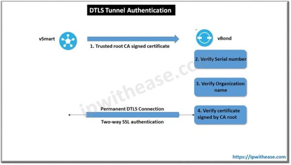 Cisco SD-WAN Control Plane Operation - IP With Ease