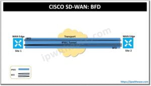 Cisco SD WAN: BFD (Bidirectional Forwarding Detection) - IP With Ease