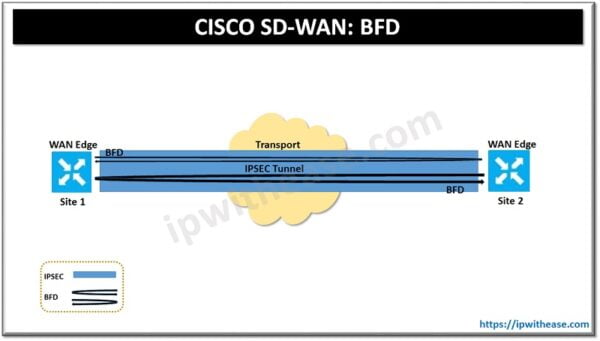 Cisco SD WAN: BFD (Bidirectional Forwarding Detection) - IP With Ease