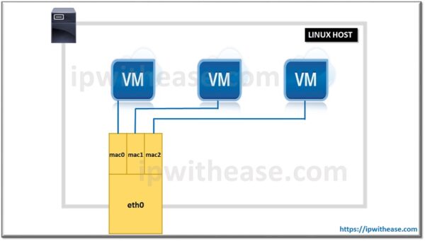 MacVLAN vs Bridge: Understand the difference - IP With Ease
