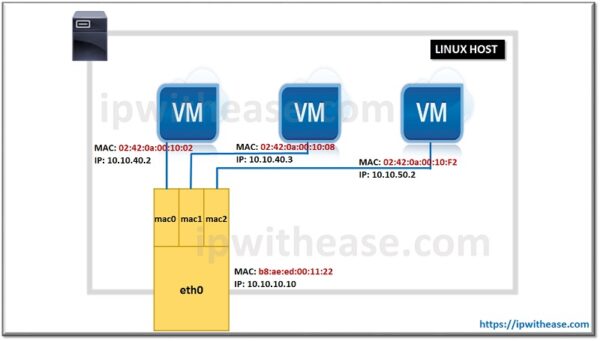 MacVLAN vs IPvlan: Understand the difference - IP With Ease