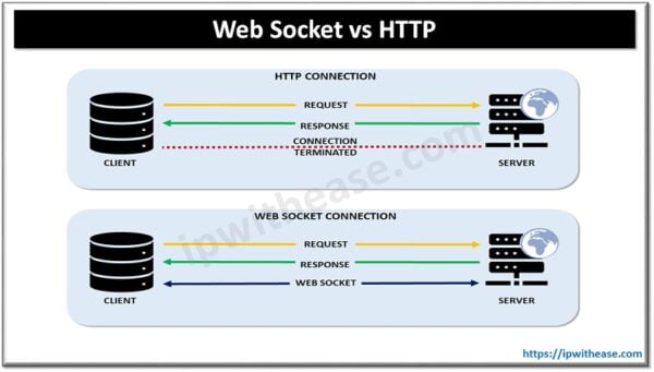 Socket vs Port - Detailed Explanation and Difference - IP With Ease