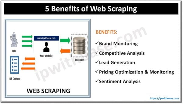 5 Ways in Which Your Business Can Benefit from Web Scraping - IP With Ease