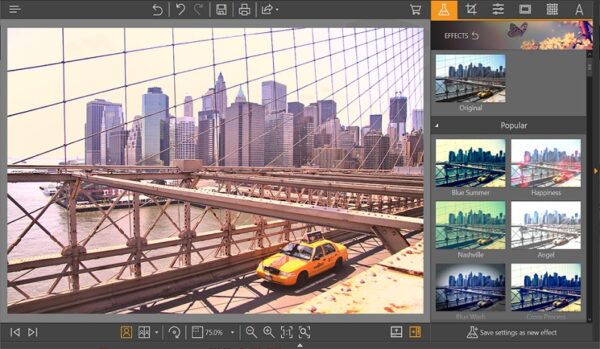 Top 5 Photo Editing Software for Windows 11 - IP With Ease