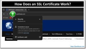 How Does an SSL Certificate Work? - IP With Ease