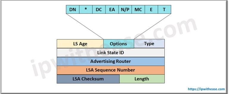 15 OSPF BIT Types Explained - IP With Ease