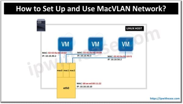 How to Set Up and Use MacVLAN Network? - IP With Ease