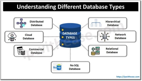 Understanding Different Database Types - IP With Ease